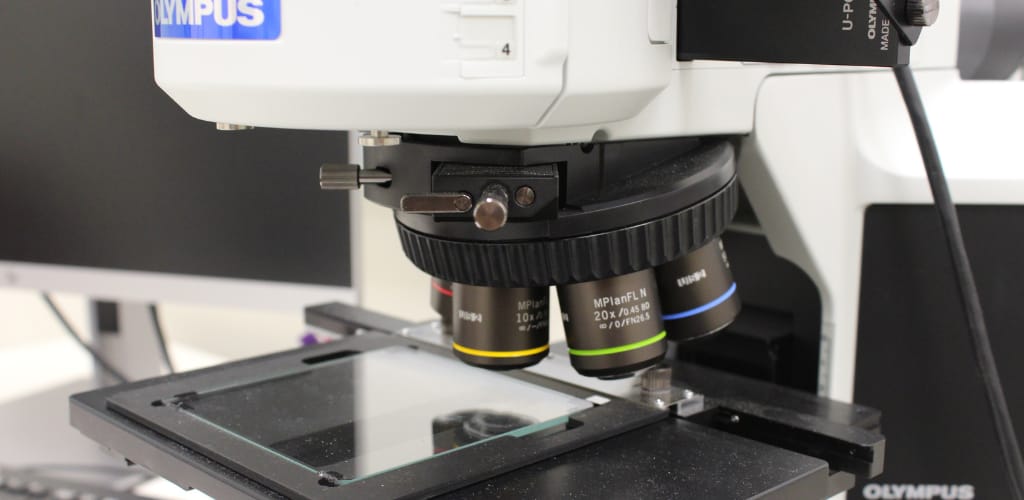 Light Microscope - HUJI Research Core Facilities