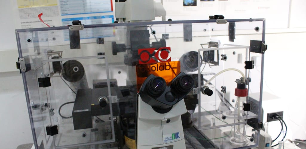 A 1 R confocal microscope (Nikon) - HUJI Research Core Facilities