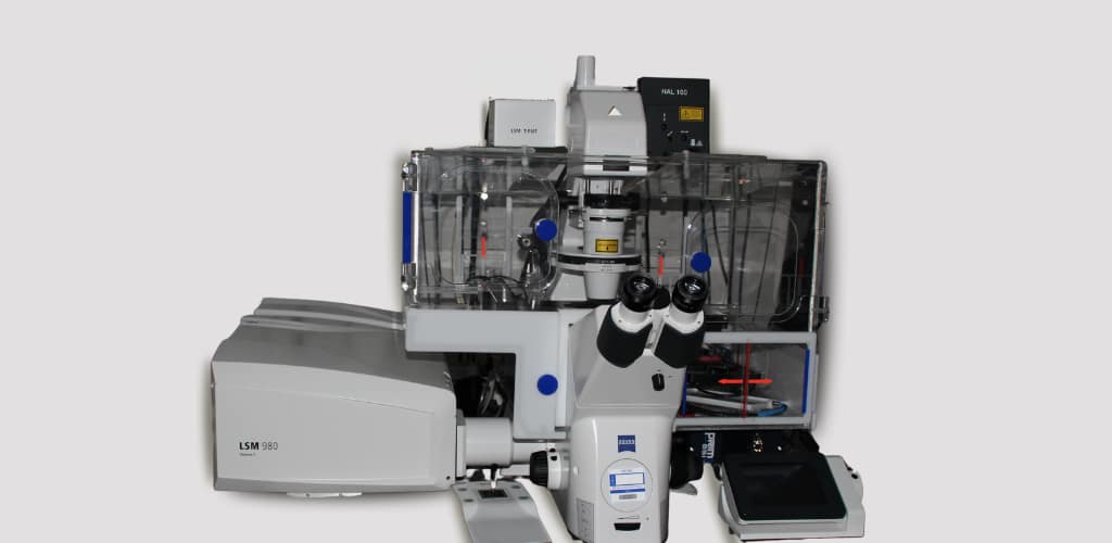 Confocal Microscope - HUJI Research Core Facilities